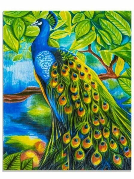 Картина по номерам "Павлин"
