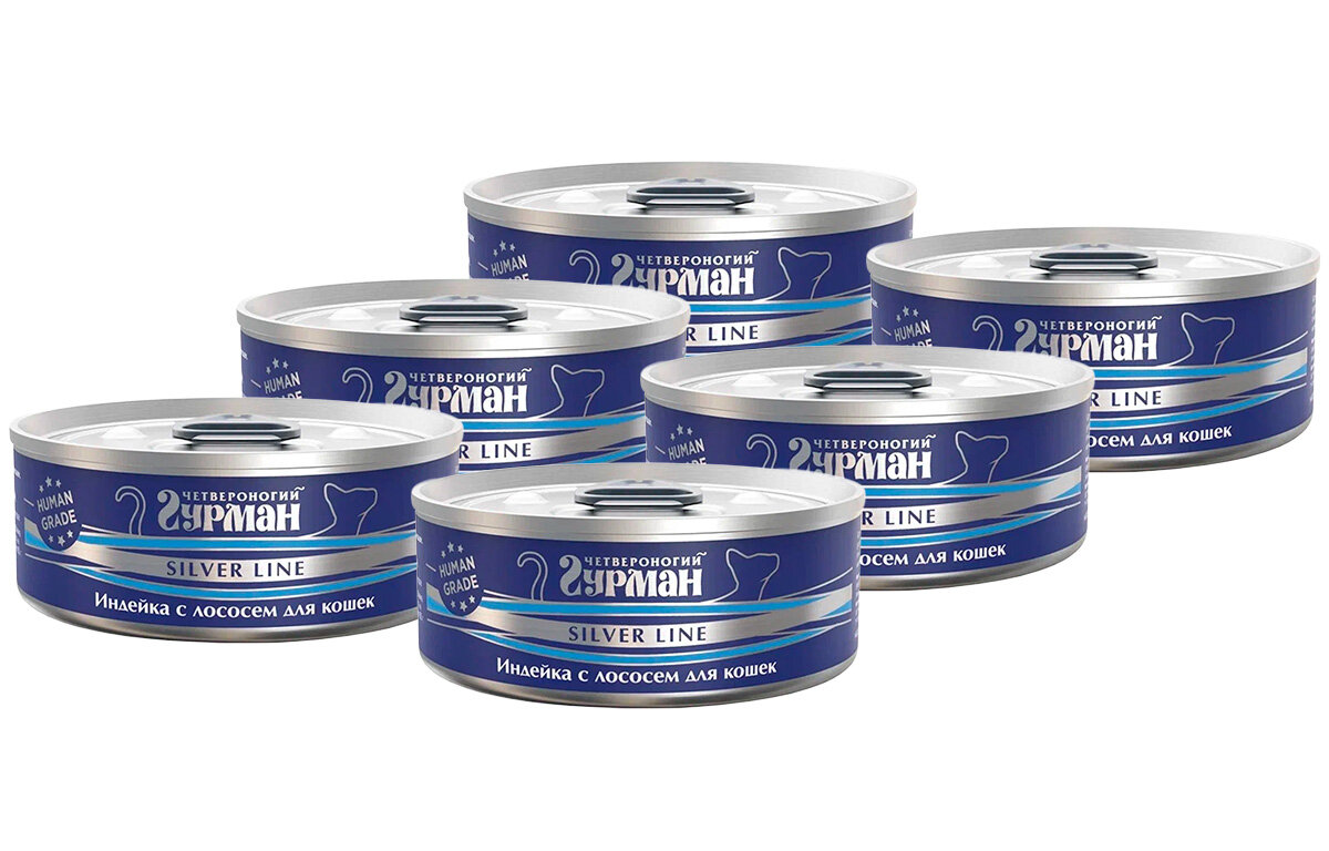 Корм влажный Четвероногий Гурман Silver Line для кошек, индейка лосось, 100 г х 6 шт