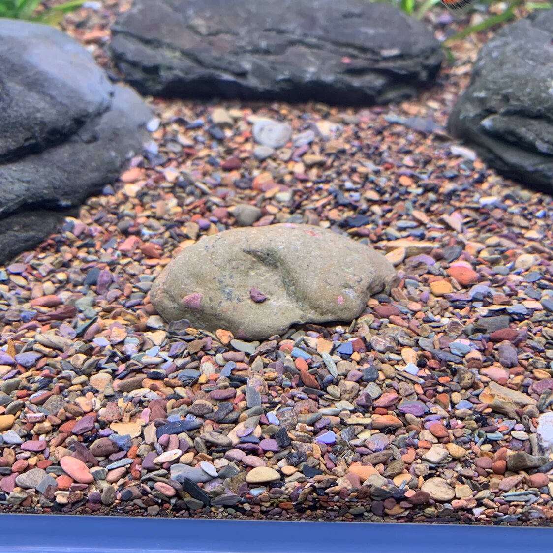 Полный набор натуральных камней для ландшафтного дизайна аквариума, плоские камни для обогрева, специальные камни для