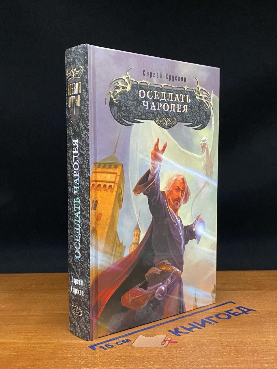 Книга. Оседлать чародея 2008 (2042636294468)