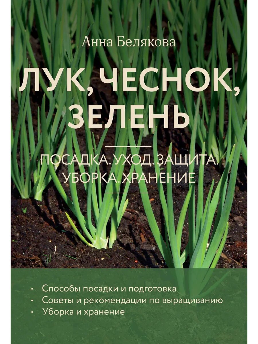 Лук, чеснок, зелень. Посадка. Уход. Защита. Уборка. Хранение
