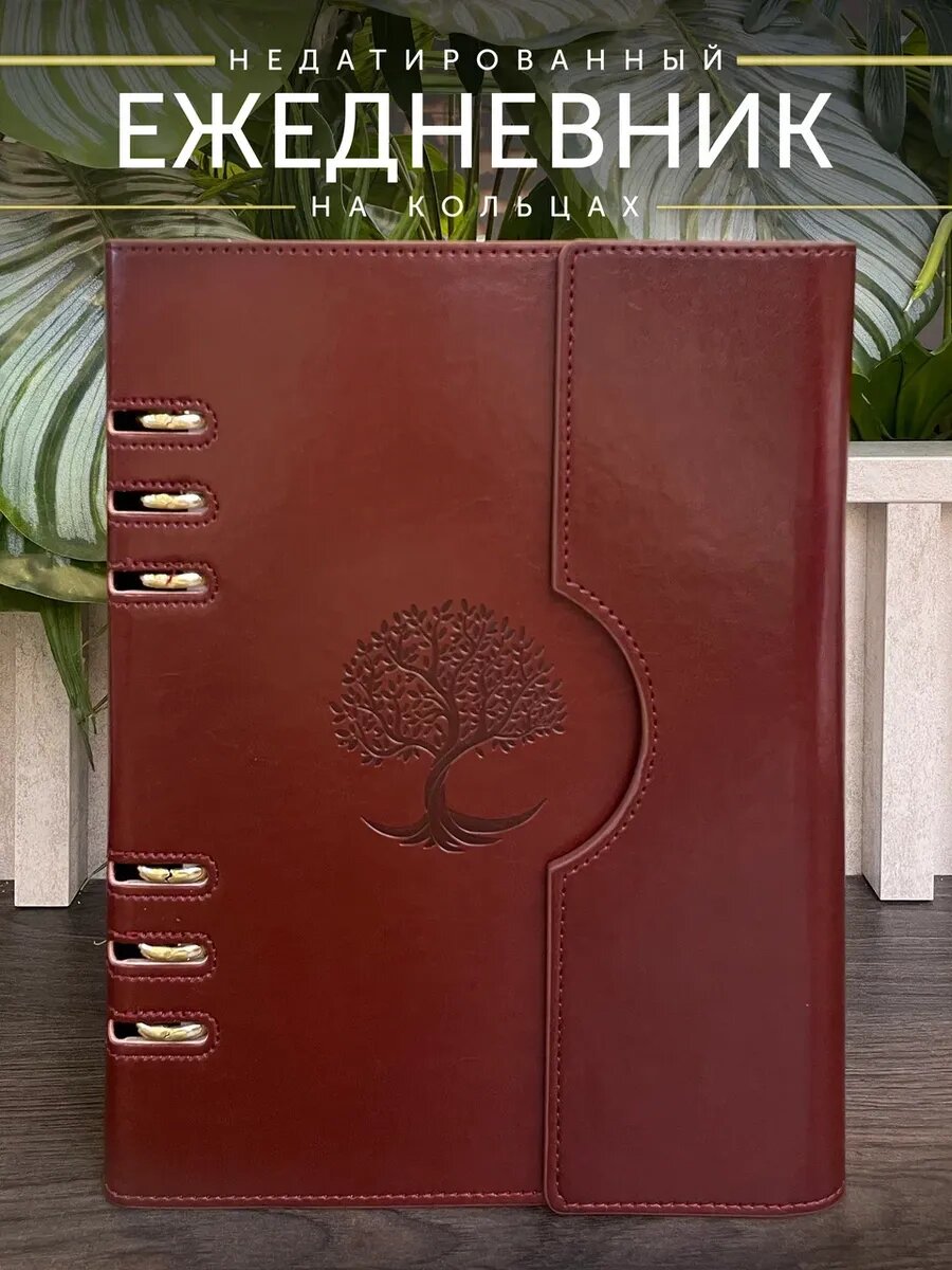 Ежедневник недатированный V3.2, на кольцах, А5, искусственная кожа