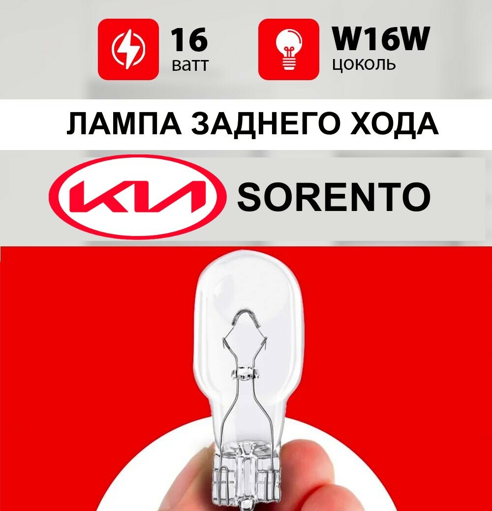 Лампа заднего хода Киа Соренто/ лампочка тормоза для Kia Sorento / W16W 16wt