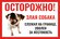 Табличка на забор "Злая собака", предупреждающая, ПВХ 3 мм, УФ печать, размер 17...