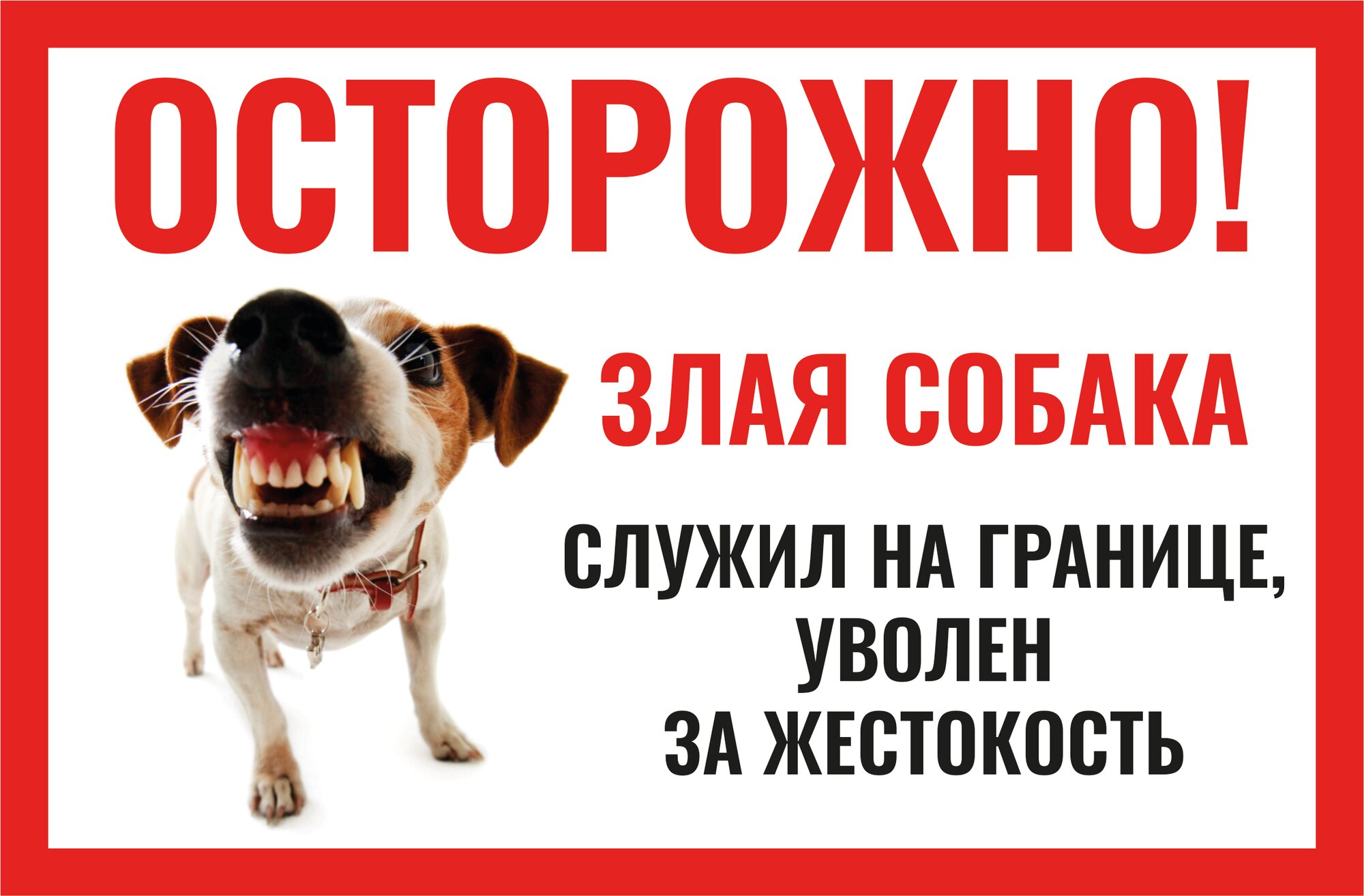 Табличка на забор "Злая собака", предупреждающая, ПВХ 3 мм, УФ печать, размер 17х22 см