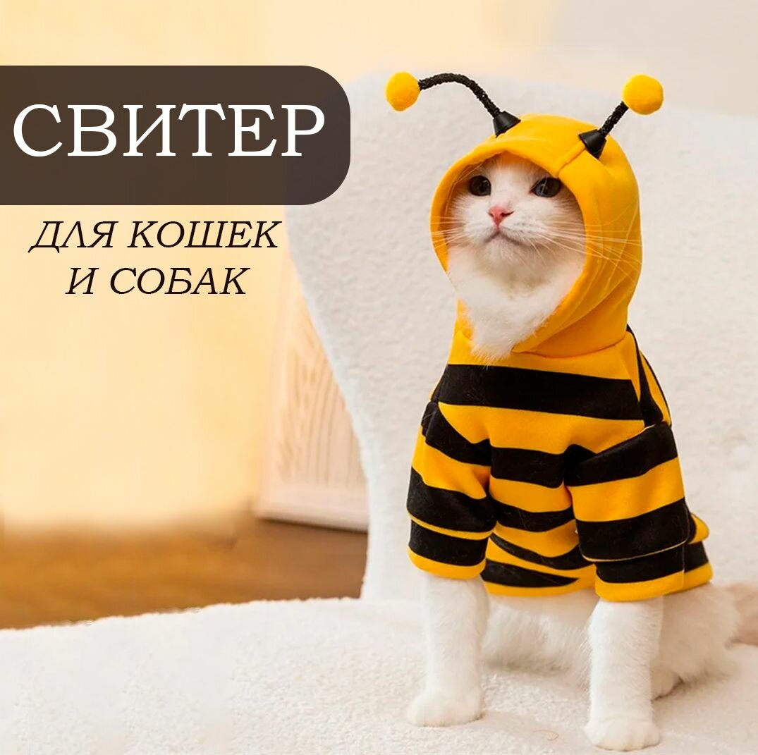 Одежда для животных