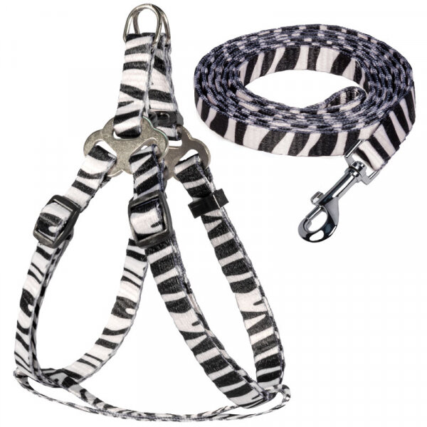 Triol Комплект для кошек и собак с Шлейкой и Поводком "Абстракция" размер XS