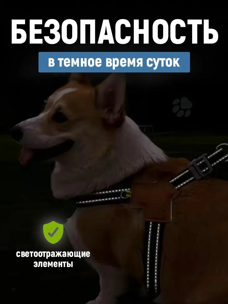 Шлейка — фото 1