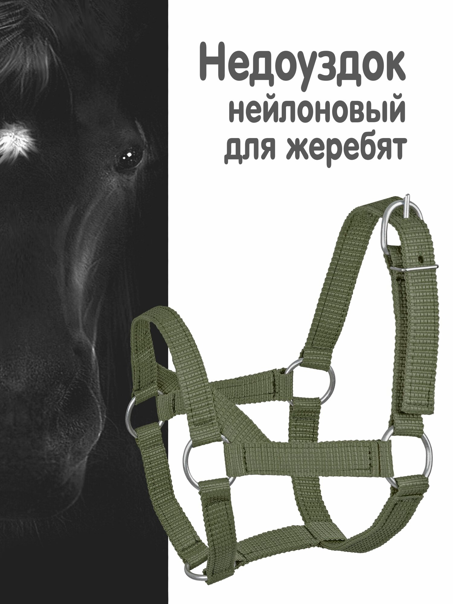 Недоуздок REITER, для жеребят, двойной нейлон, ширина 25 мм, цвет хаки