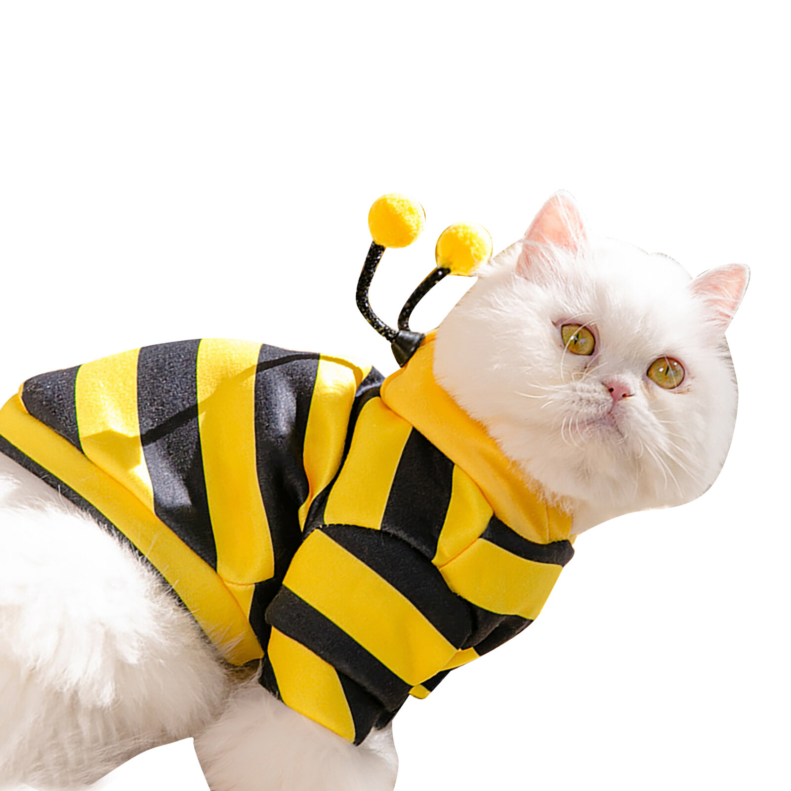 Толстовки с капюшоном для кошек, стильный, милый, с животными, осенне-зимний теплый костюм с очаровательным котом для кошек, котят, щенков, классический костюм пчелы M (рекомендуемый вес 2,5‑4 кг/5,5‑8,8 фунтов)
