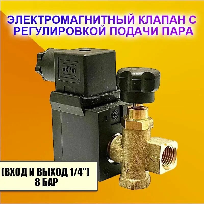 Электромагнитный клапан с регулировкой подачи пара (вход и выход 1/4") 8 bar