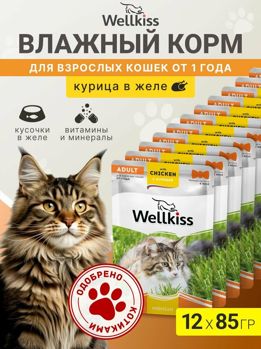 Wellkiss Adult Влажный корм (пауч) для взрослых кошек, с курицей в желе, 85 гр. * 12 шт.