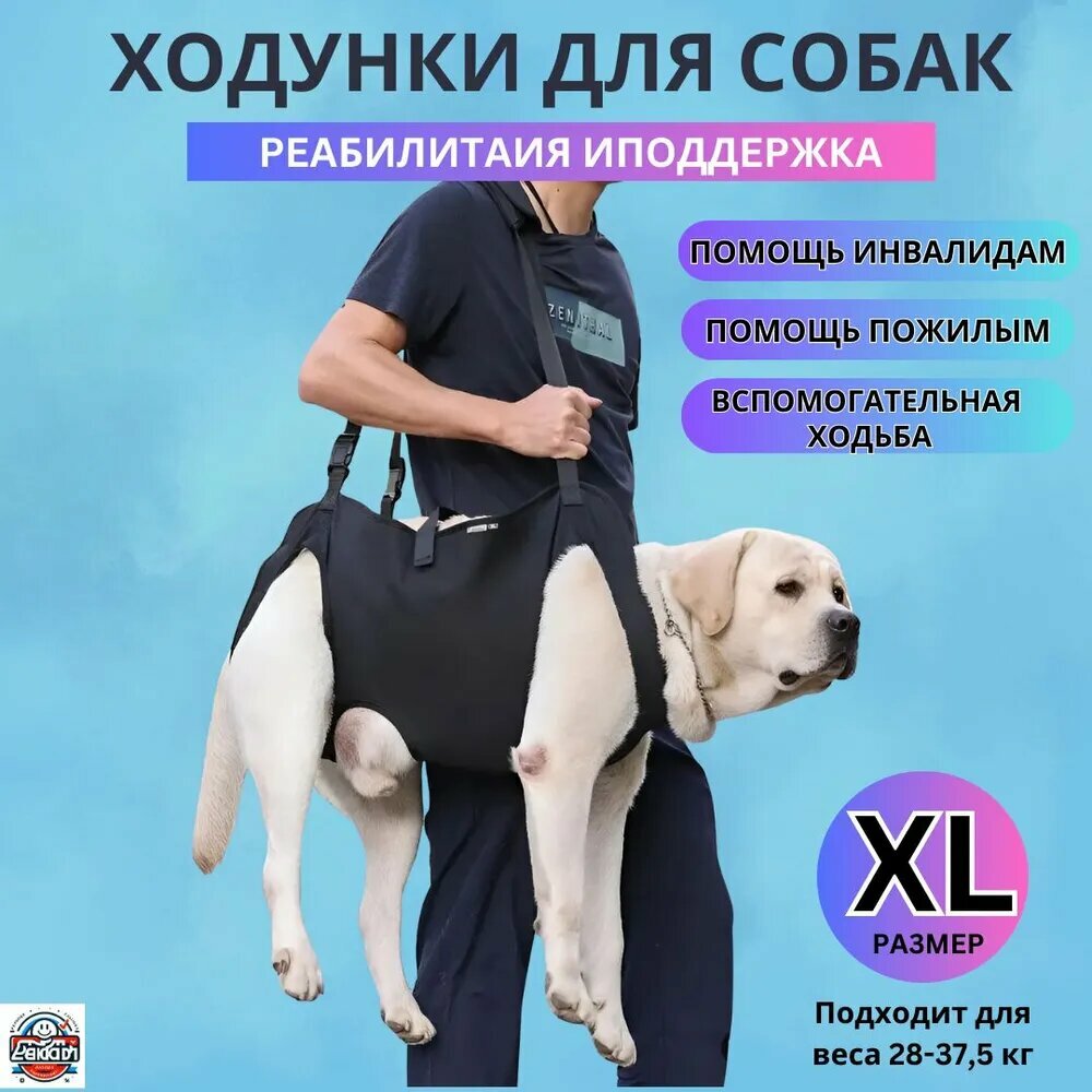 Ходунки для собак, поддержка задних лап пожилых и травмированных собак. Поддерживающая шлейка, размер XL.