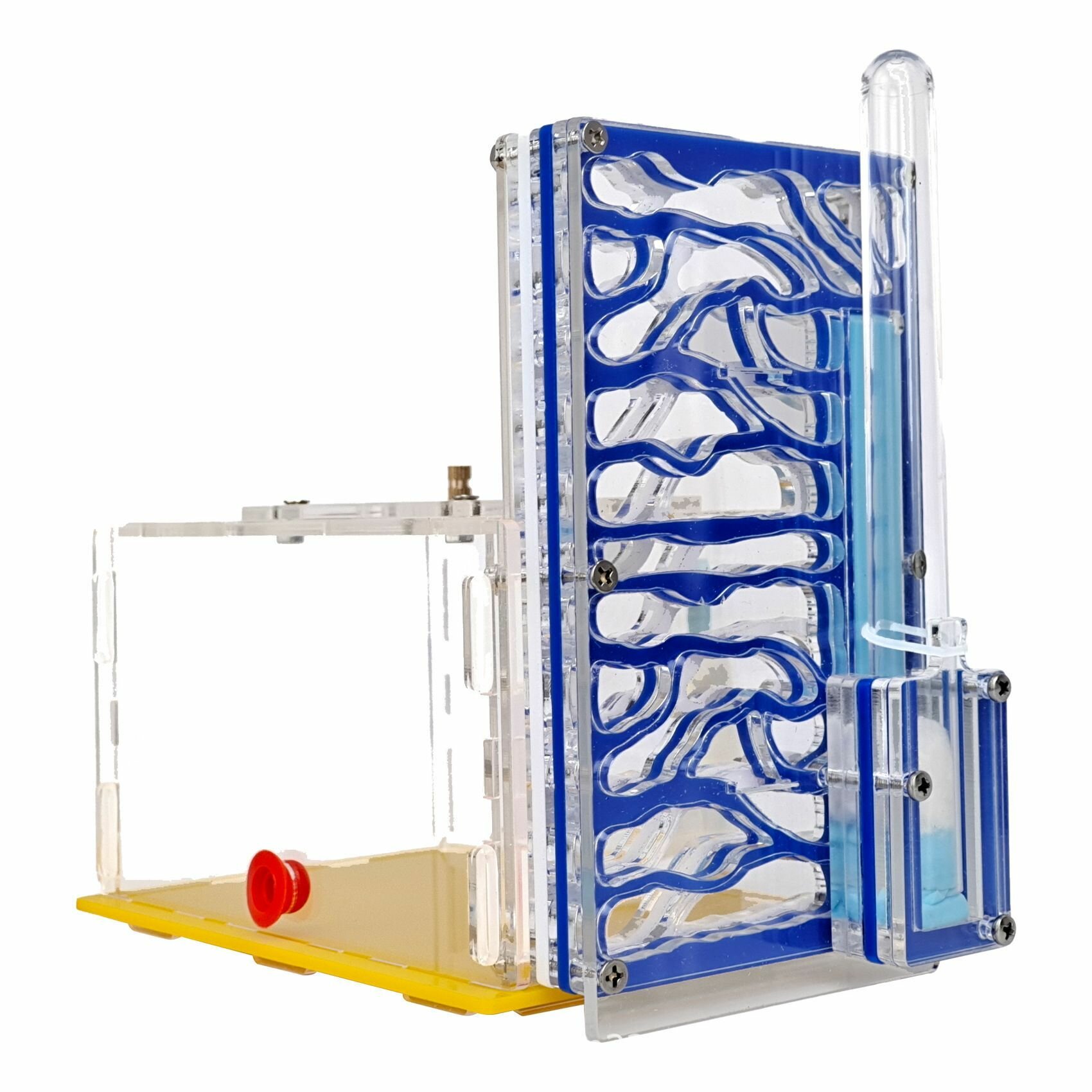 Муравьиная ферма, Экологический ящик для муравьев MYNC-1 -kpa