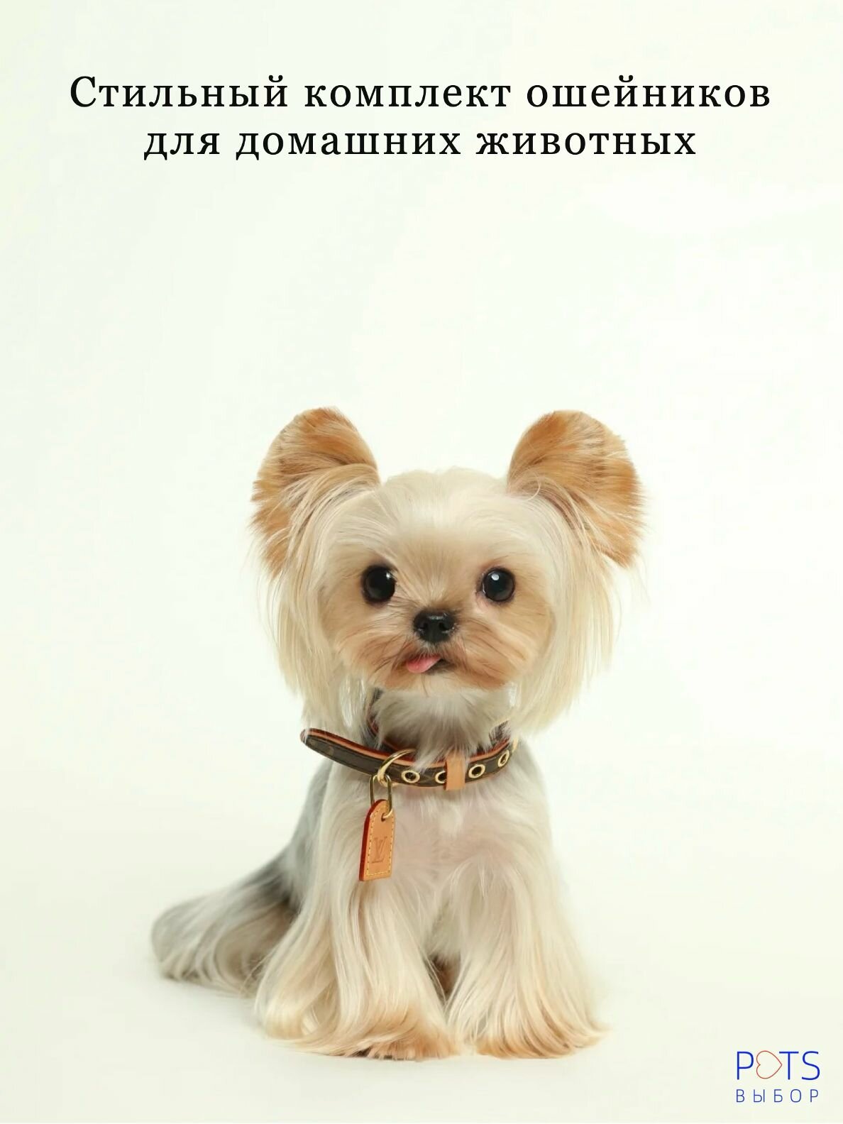 Стильный комплект ошейников для домашних животных Louis Vuitton Baxter dog collar set