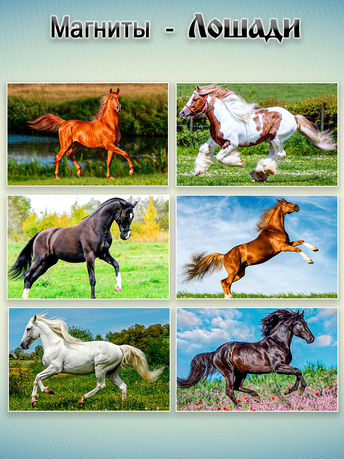 Набор магнитов на холодильник Символ 2026 года "Год Лошади", 6 штук