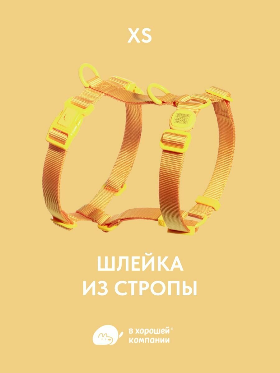 Анатомическая прогулочная шлейка с адресником из стропы для собак мелких пород и кошек IN GOOD COMPANY (XS / Спелое манго)