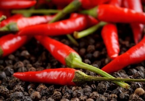 Коллекционные семена перца острого Жгучий ус