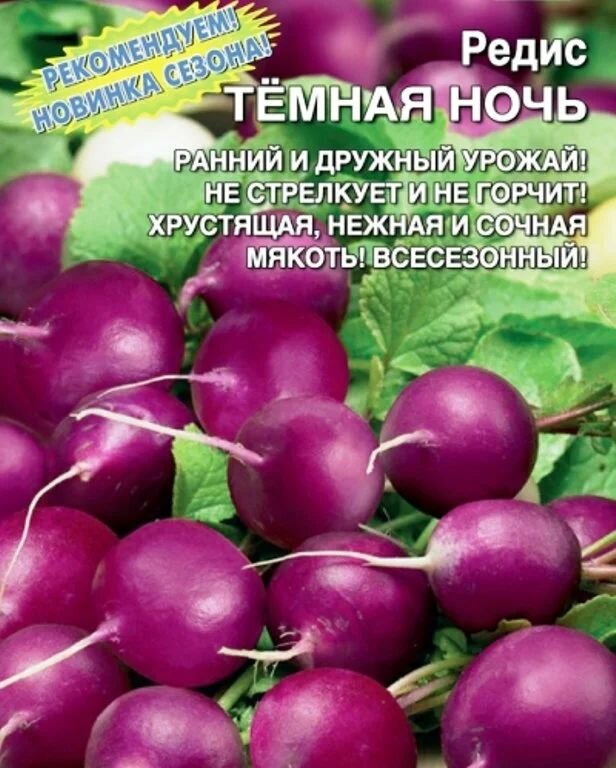 Коллекционные семена редиса Темная ночь