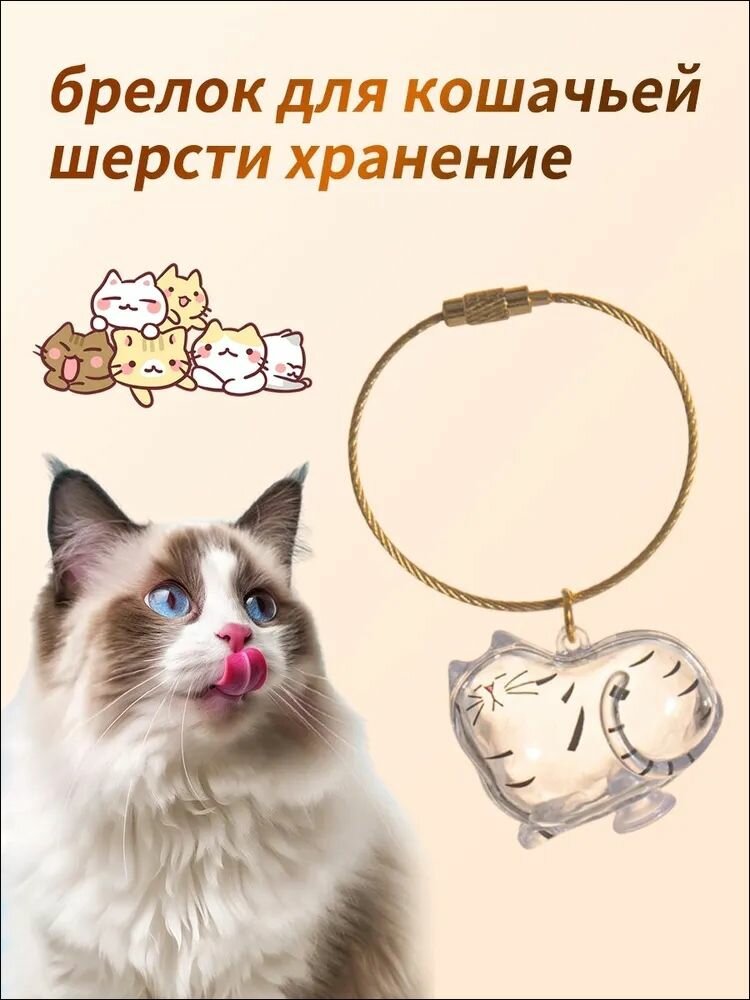 Прозрачный памятный кулон-капсула из кошачьей шерсти, милый, в форме кошки, подарок для любителей кошек