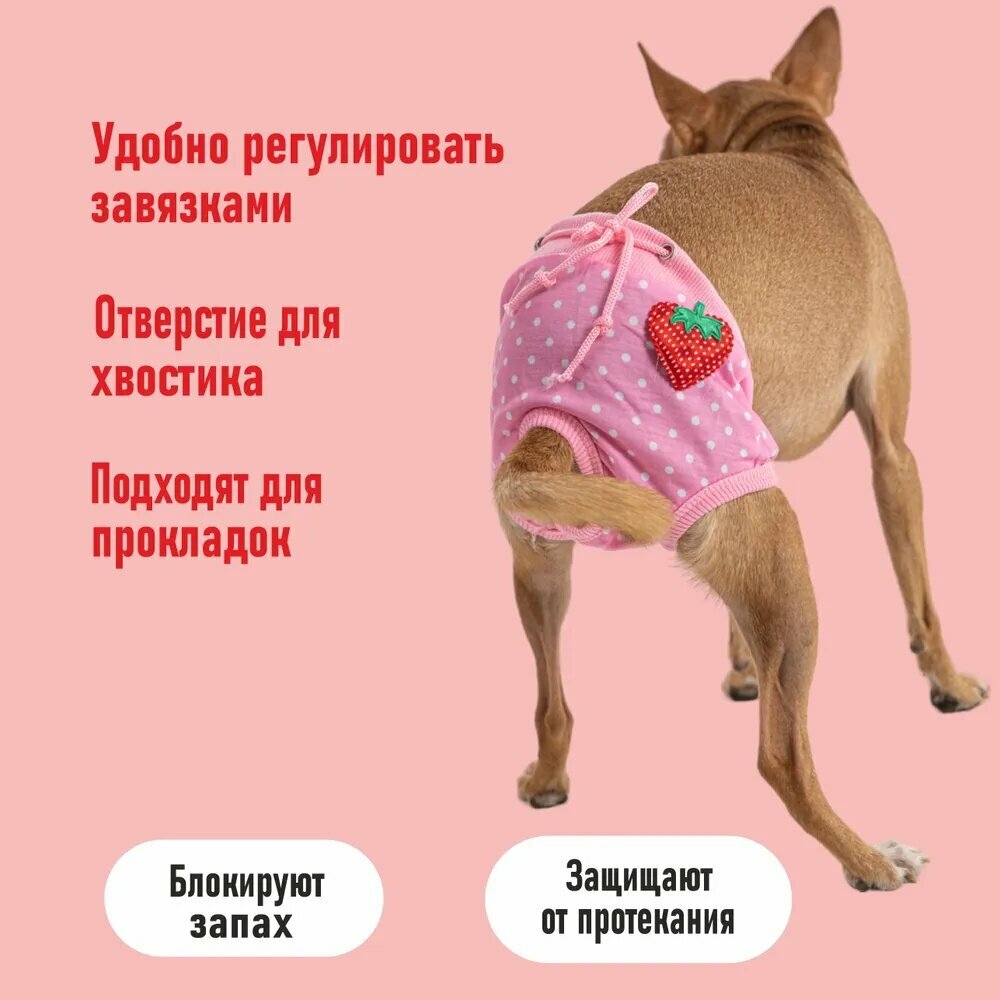 Одежда для животных — фото 1