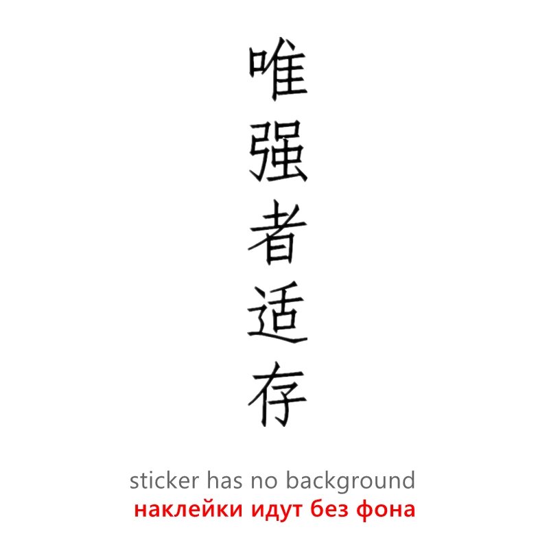 30637# наклейки на авто Иероглиф выживает сильнейший водонепроницаемые наклейки на машину наклейка для авто автонаклейка стикер этикеты винила наклейки стайлинга автомобилей украшения на бампере автомобиля