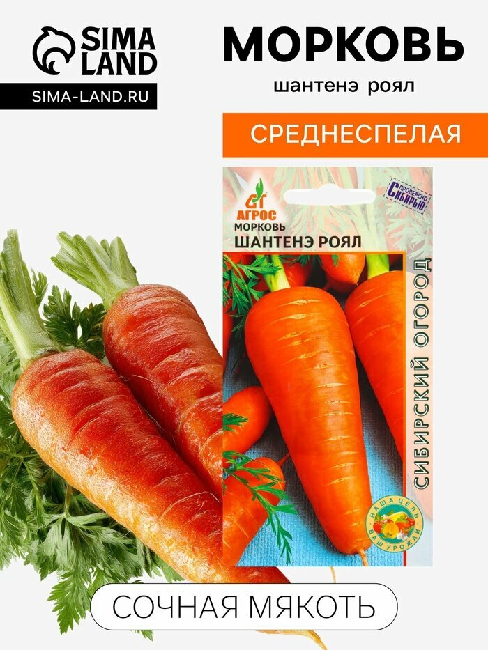 Семена Морковь «Шантенэ Роял», 1 г, «Агросс»