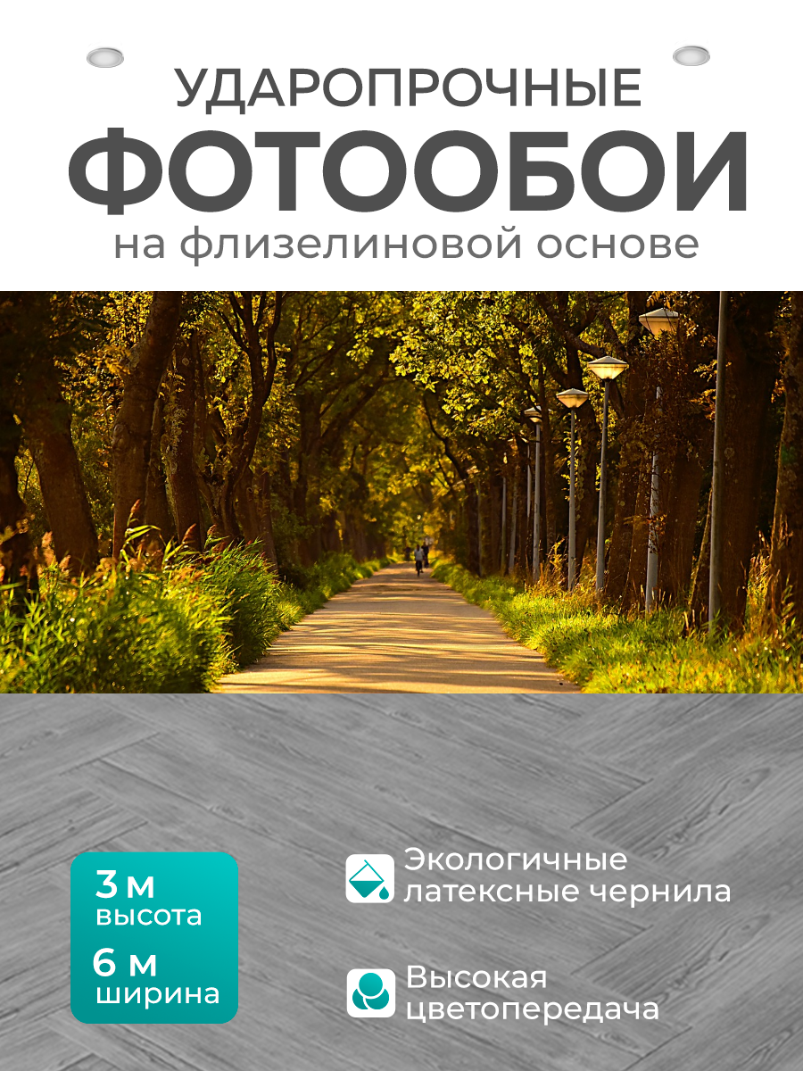 Фотообои моющиеся ударопрочные "Переулок, обсаженный деревьями, дорога" 600x300 см. флизелиновые на стену