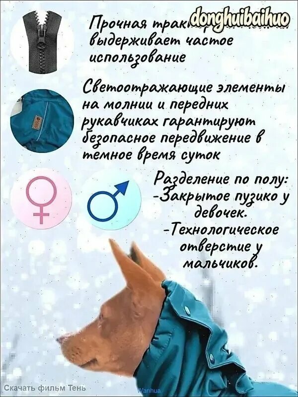Одежда для животных — фото 1