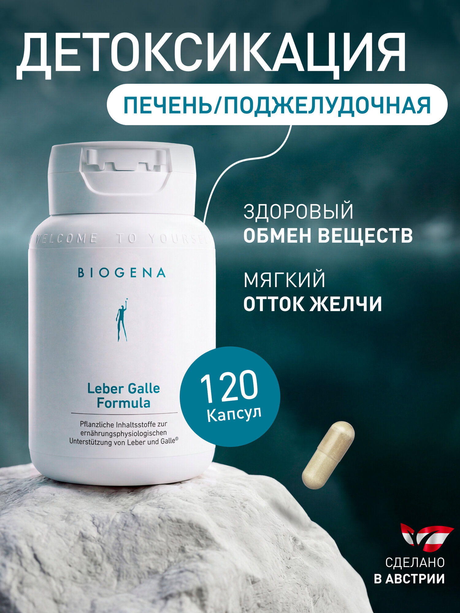 Biogena Растительные экстракты для печени и поджелудочной железы Фитоформула Печень/Поджелудочная, 711 мг