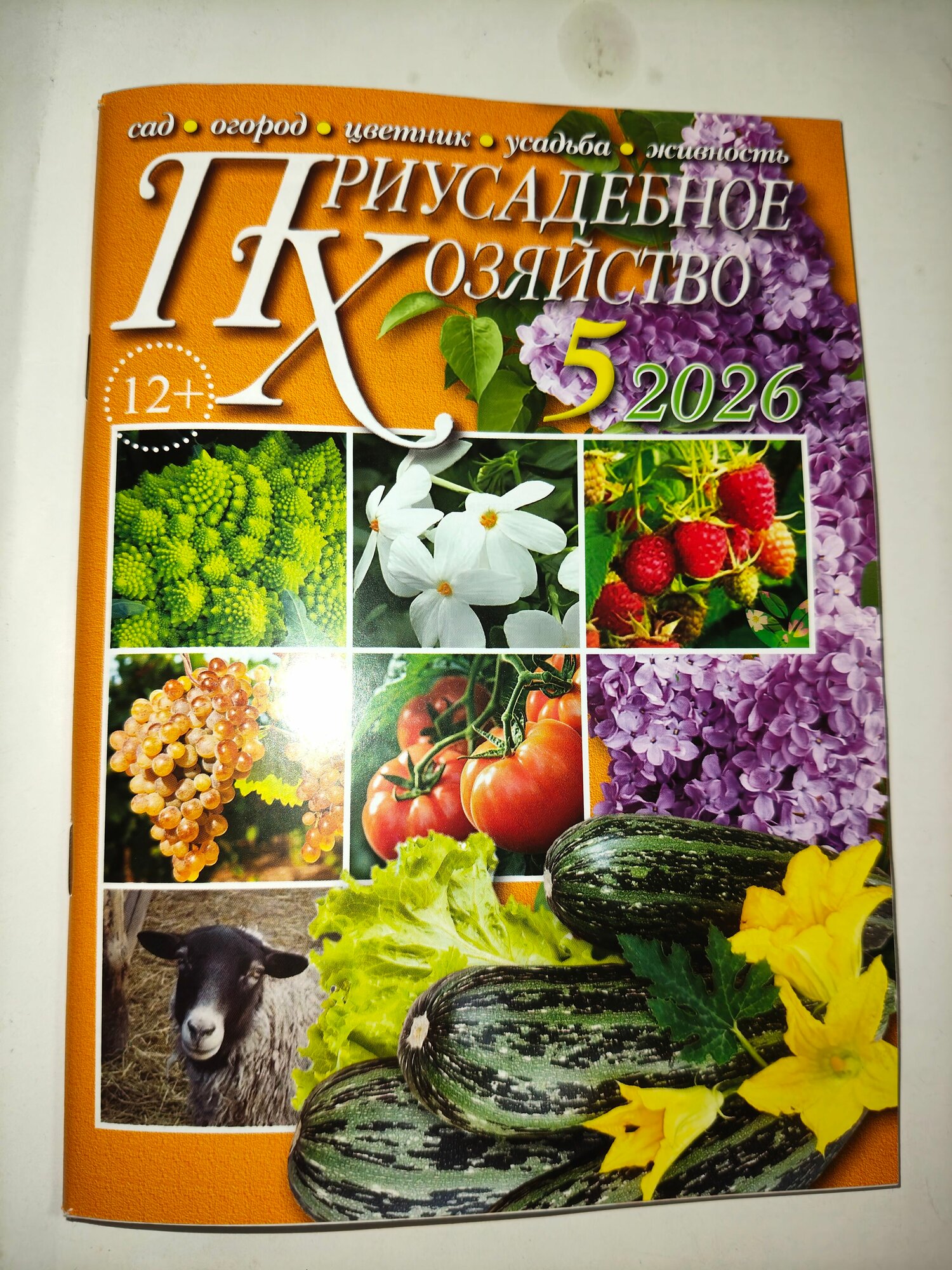 Приусадебное хозяйство 5/26