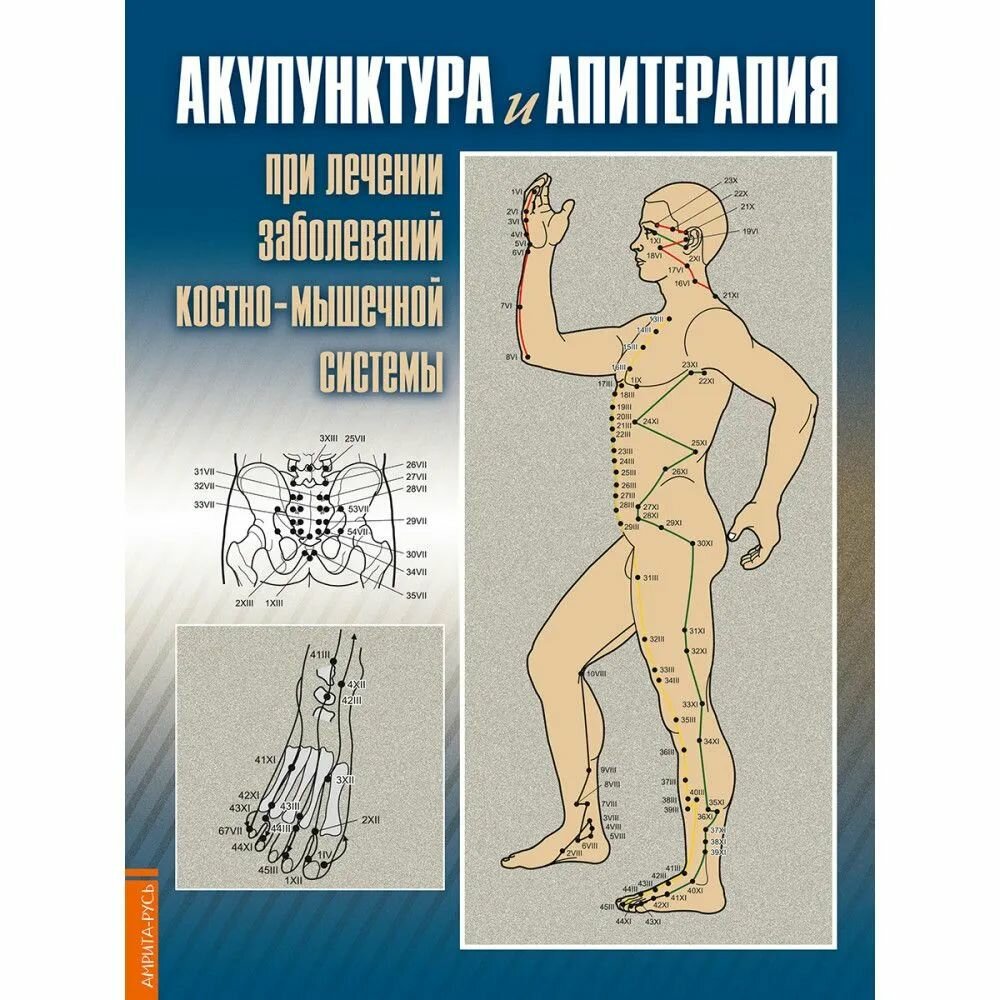 Акупунктура и апитерапия при лечении заболеваний костно-мышечной системы. Усакова Н. А.