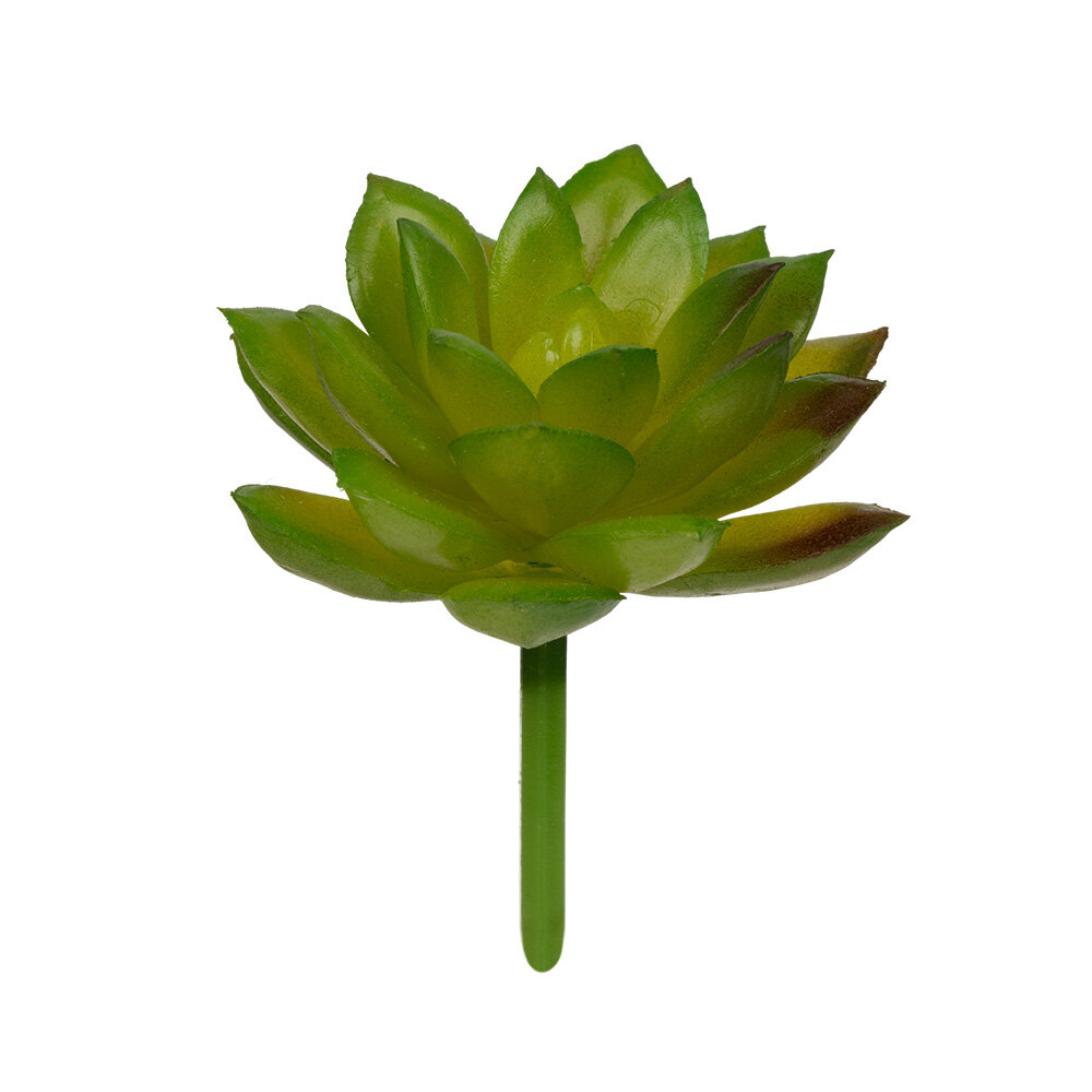 Blumentag ASU-04-AY49 Искусственное растение суккулент 8 x 7 см декоративные элементы 1 шт