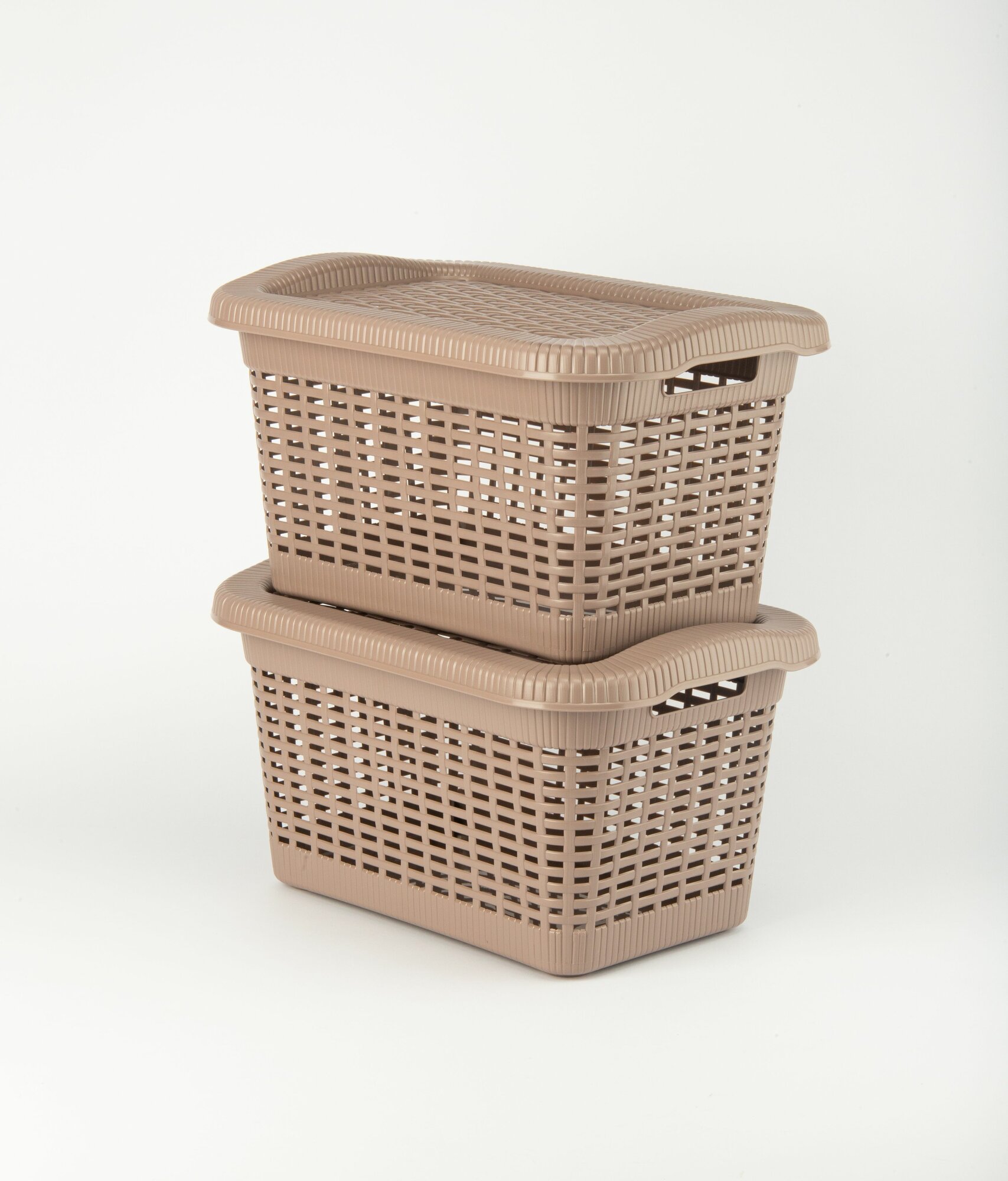 Корзина Econova с крышкой 45х30х25 см, 2 штуки, для хранения вещей