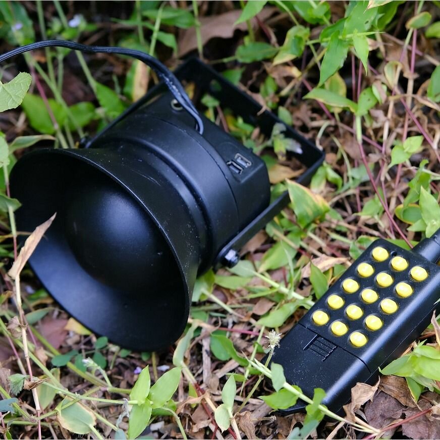 Беспроводной пульт дистанционного управления Открытый плеер песни птиц