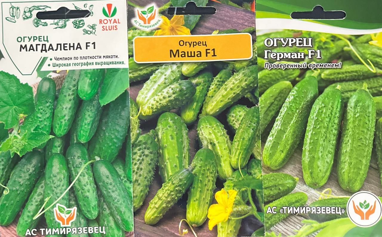 Семена огурцов "Маша F1", "Магдалена", "Герман", "Тимирязевский", 3 упаковки
