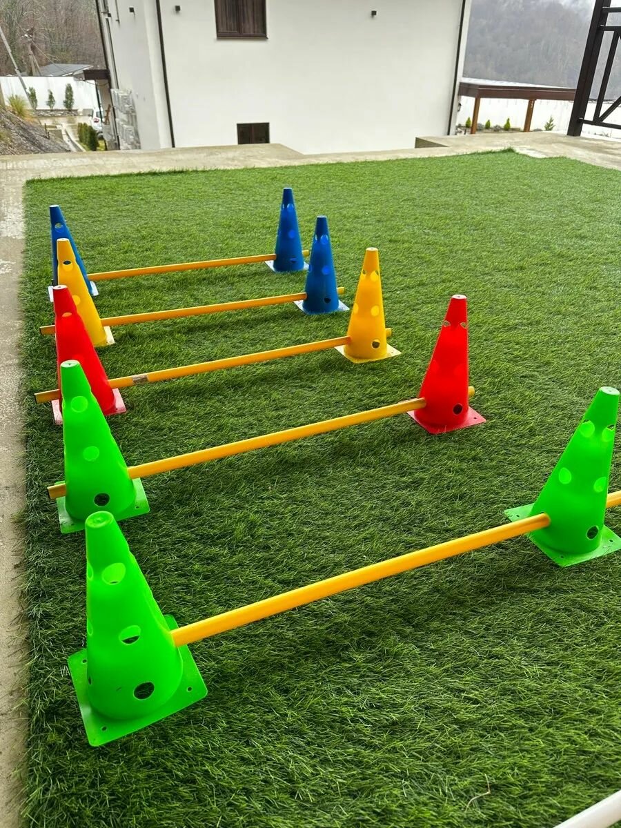 Набор препятствий для аджилити Dog Activity, Trixie (10 конусов 30 см, 5 перекладины 100см)