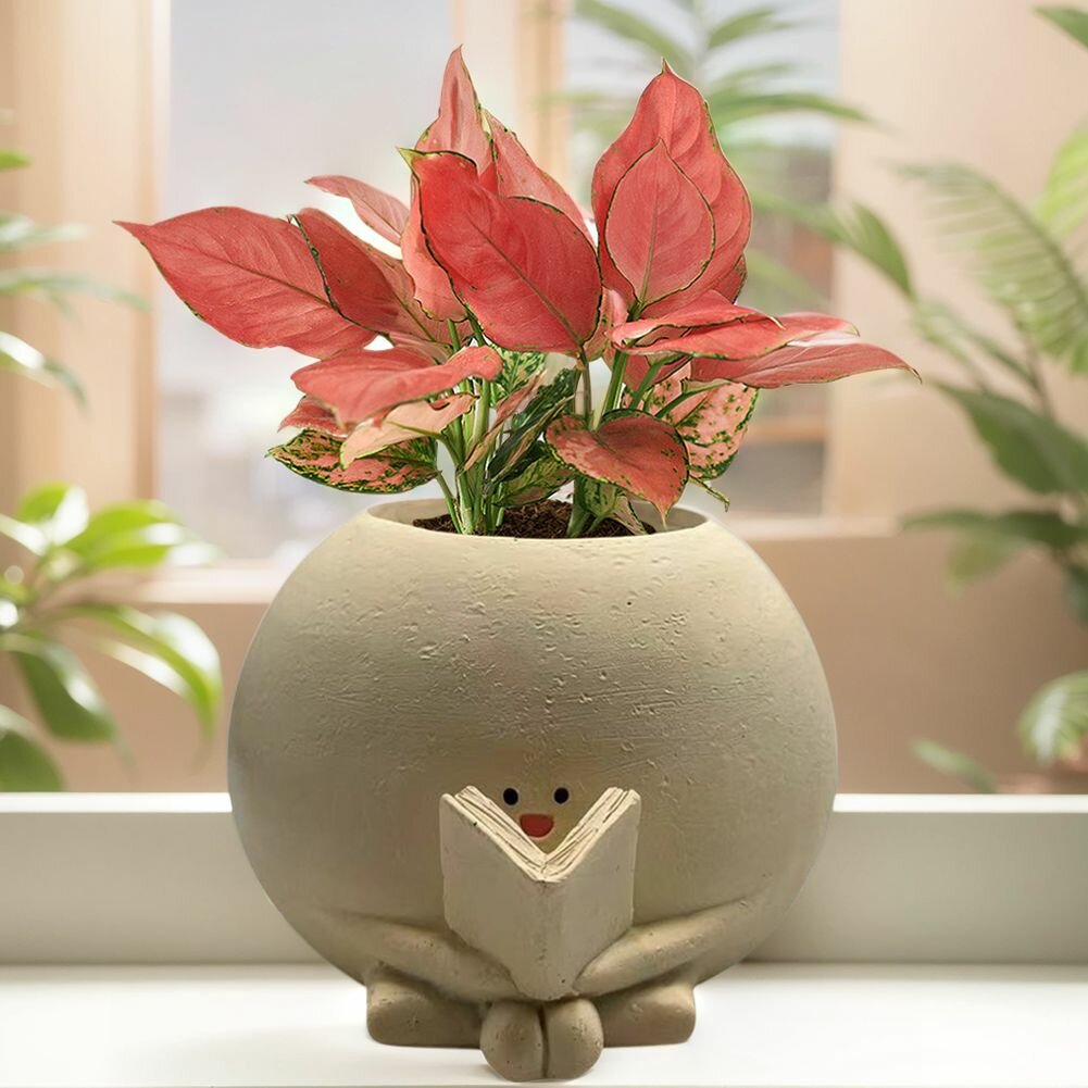 Милые растения, сочные горшки, креативные подвесные качели, стул, кашпо, домашний садовый декор