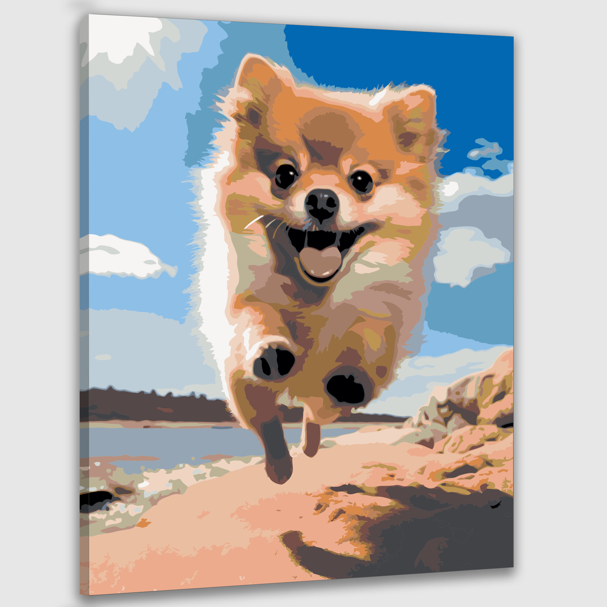 Картина по номерам 40x50 см, шпиц, фотография, разрешение, прыжок, глаза, возбуждение, пляж, солнце, игривый, характер