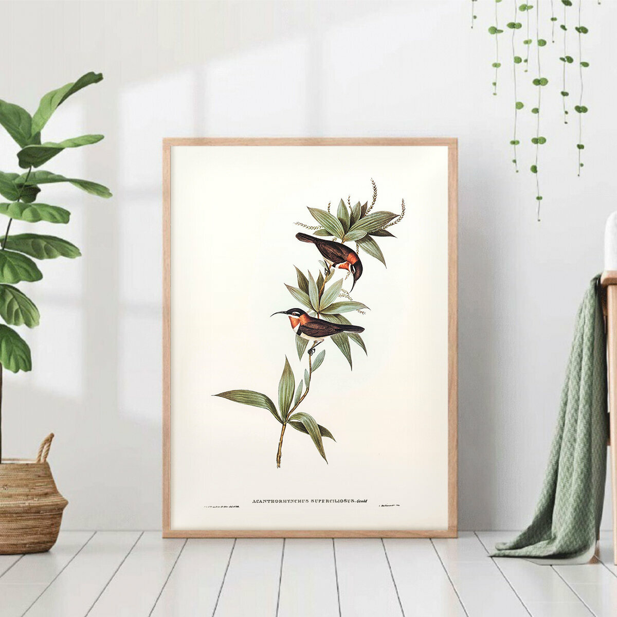 Постер "Ветка с птицами ретро иллюстрация" без рамы 50x70 см на стену для интерьера