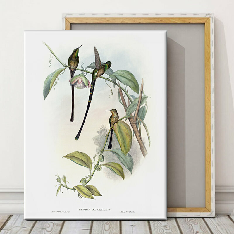 Картина на холсте 40х50 см "3 птицы на ветке", на стену для интерьера