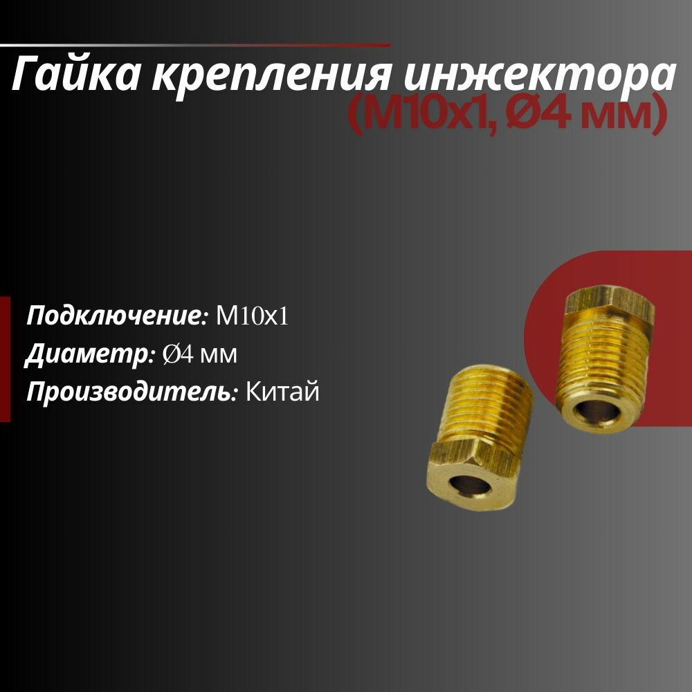 Гайка крепления инжектора: М10х1 4 мм 2 шт