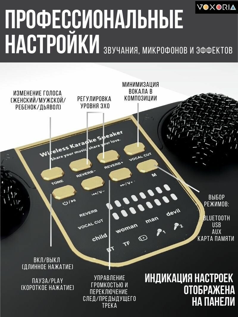 Караоке-система — фото 1