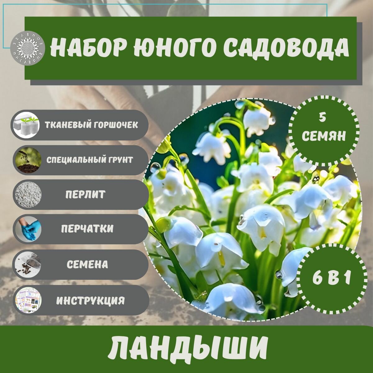 Набор для выращивания Ландыши / Подарок для юного садовода Зеленое Наследие
