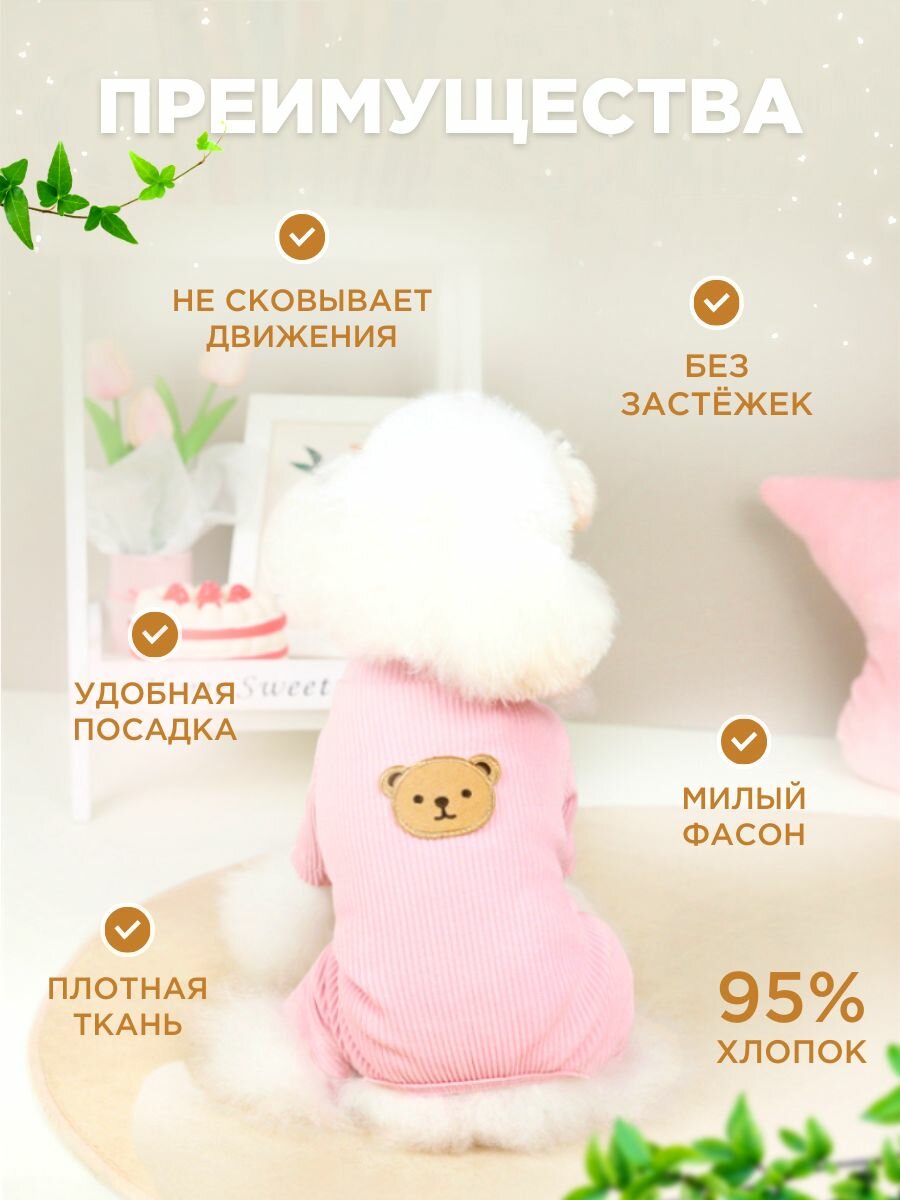 Одежда для животных — фото 1