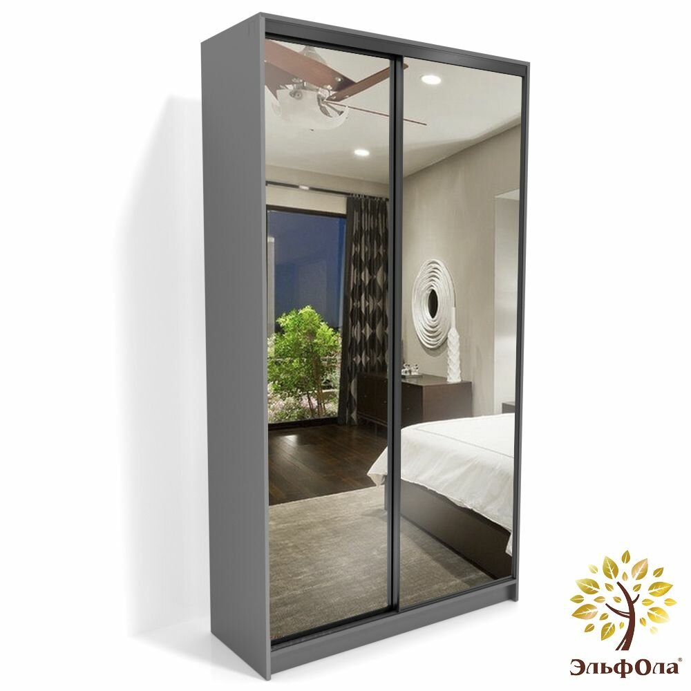 Шкаф-купе, двухстворчатый, ЭльфОла "Элеганс" 100*60*240 см, серый, профиль черный