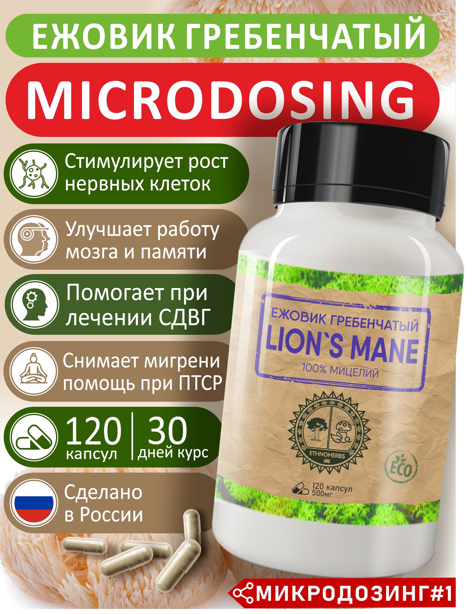 Ежовик гребенчатый гриб ежевик LIONS MANE 120 капсул мицелий