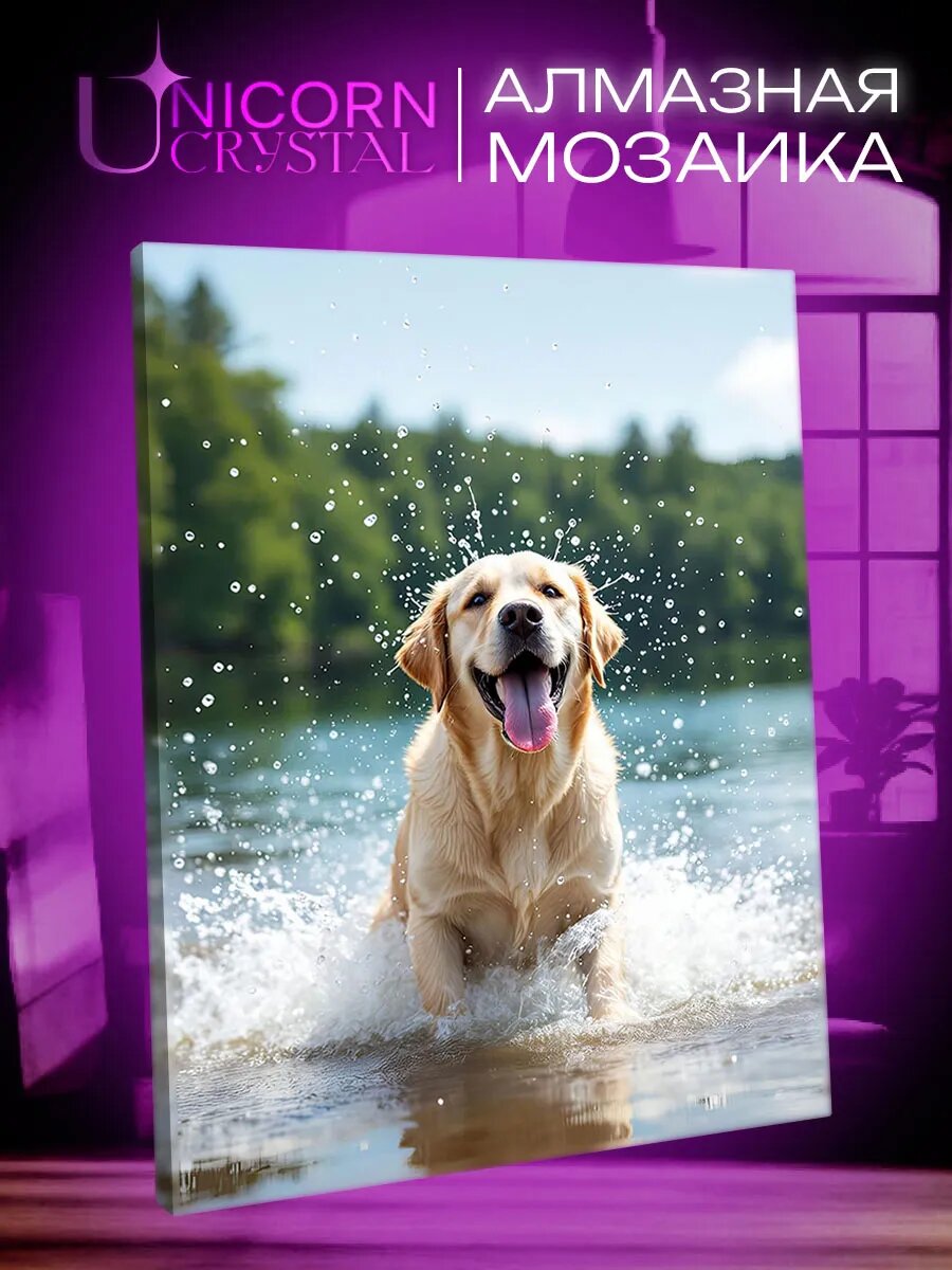 Алмазная мозаика Собака