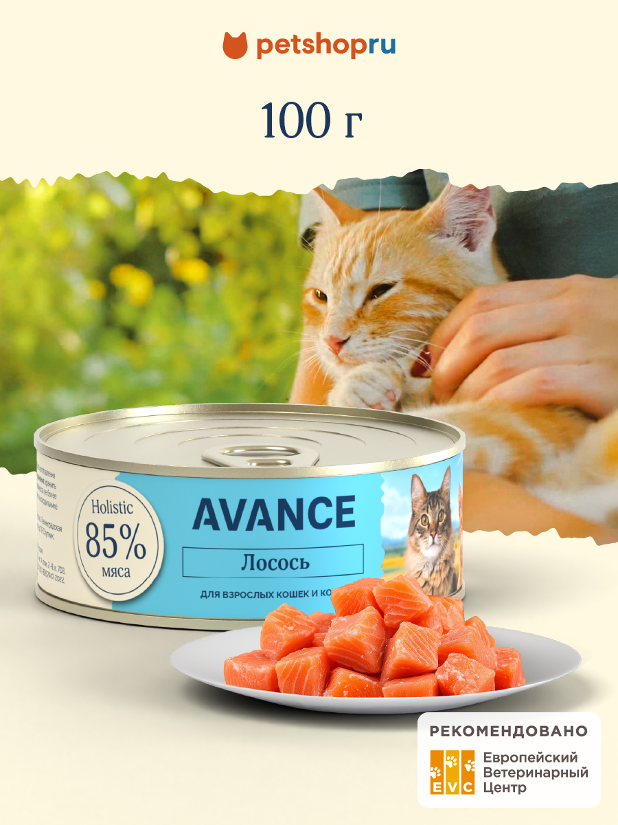 AVANCE холистик Консервы для кошек и котят с лососем, Salmon, 100 г, Влажный корм