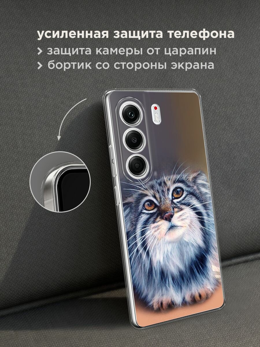 Чехол на Tecno Camon 40 Pro 5G / Текно Камон 40 Про 5G с принтом "Кот манул 2" — фото 1